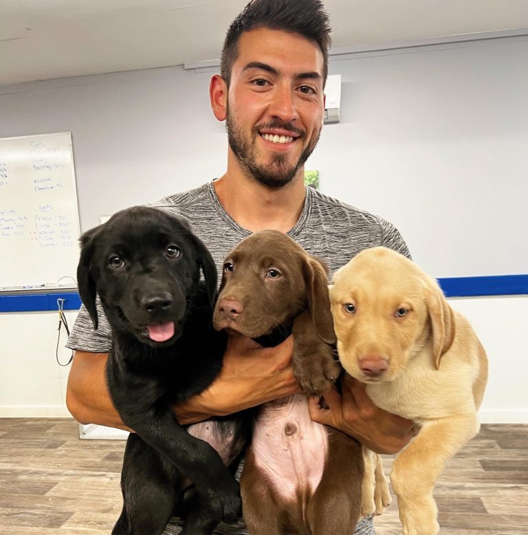 K9one Stonehill Kennel: Expert Dog Training & Boarding Facility